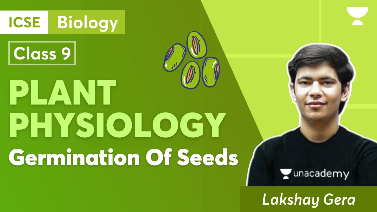 plant-physiology-germination-of-seeds-icse-class-9-physics