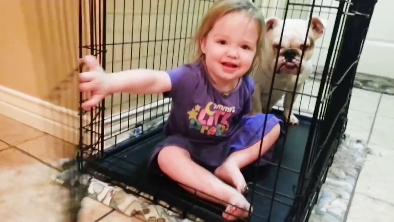 (WARNING) Cuteness Overload! Funny Dogs babysitting 2020 - YouTube