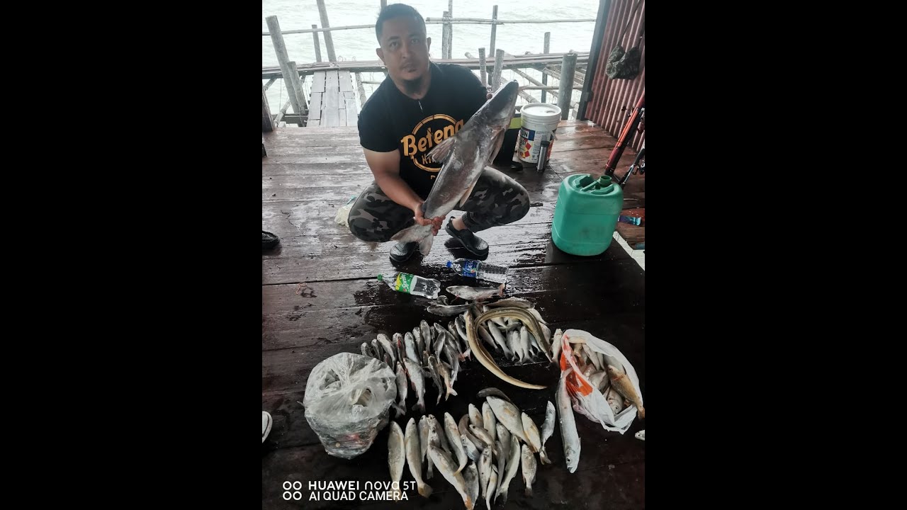 MANCING KELONG SEBATU MELAKA PE2 | OTAI JINAKKAN IKAN DURI 9KG ...