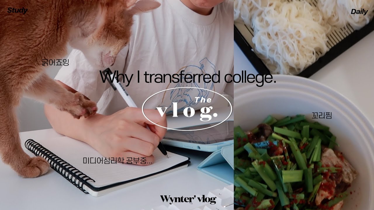 Vlog유학생은 아닌데 유학생같은내가 컬리지를 옮긴 이유 인생 첫 소꼬리찜🐄 미디어심리학은 내 전공이 아닌데요 대학생일상브이로그 Youtube