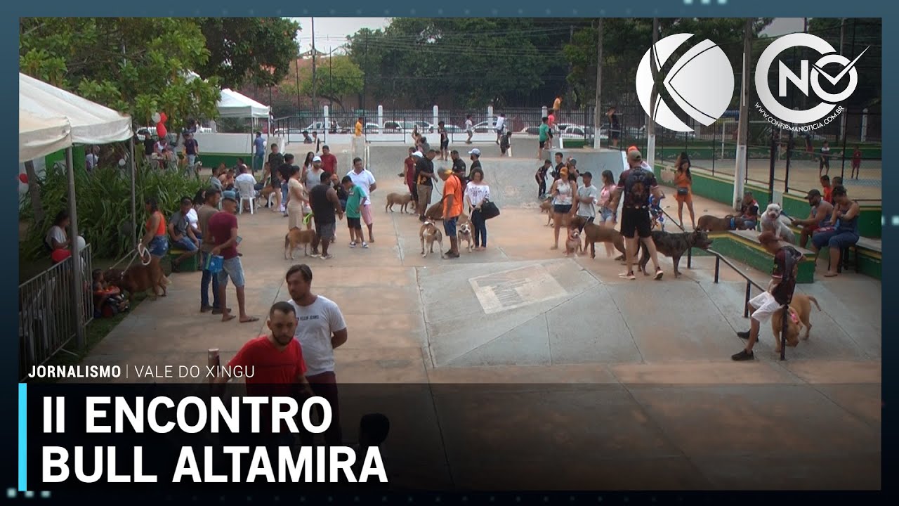 II Encontro Bull Altamira (PA): cães de diferentes raças de Bull ...