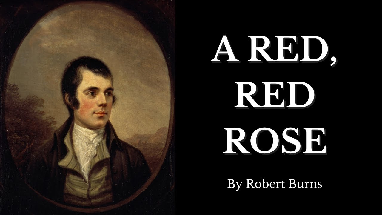 🔥Best Love Poetry - A Red, Red Rose - By Robert Burns🔥 - YouTube