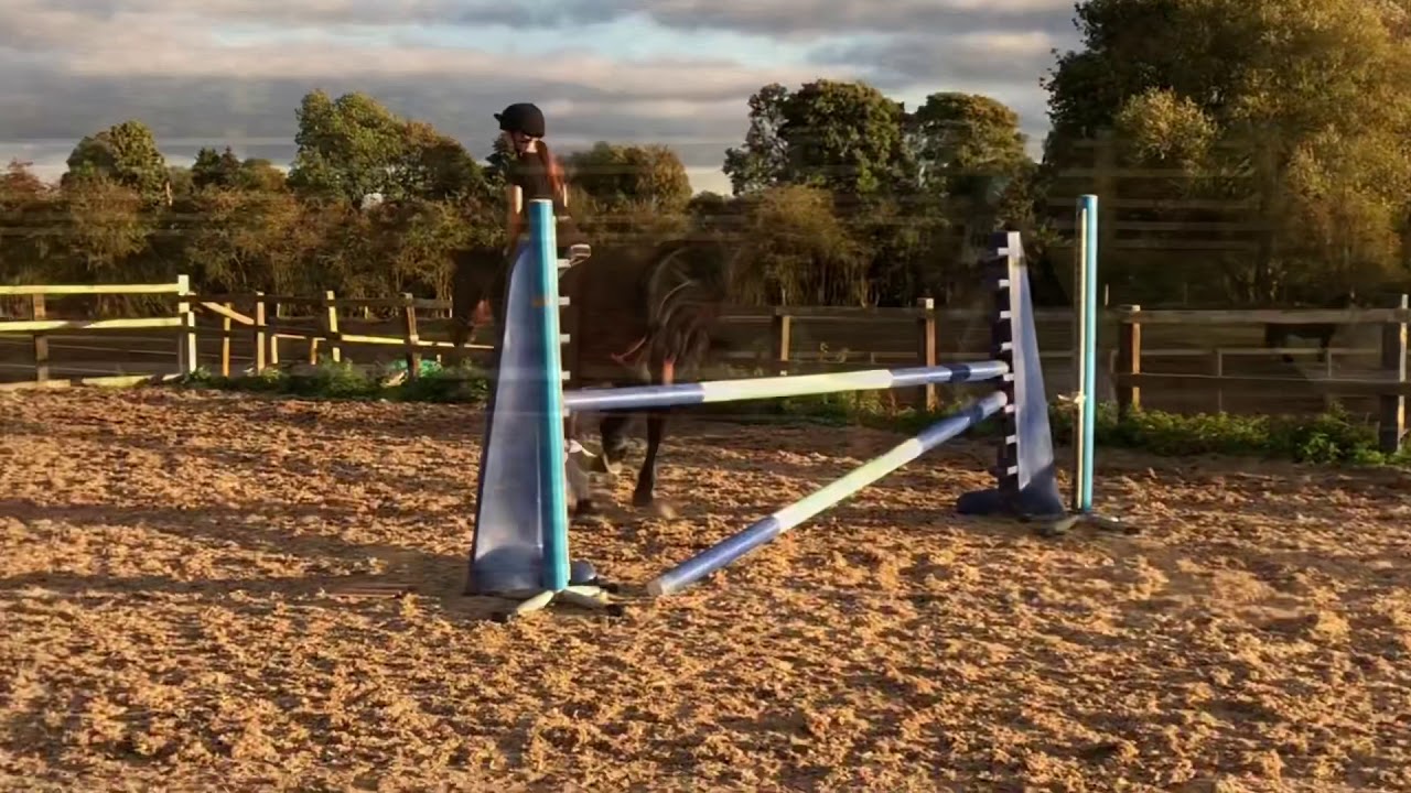 Jumping Benji - YouTube