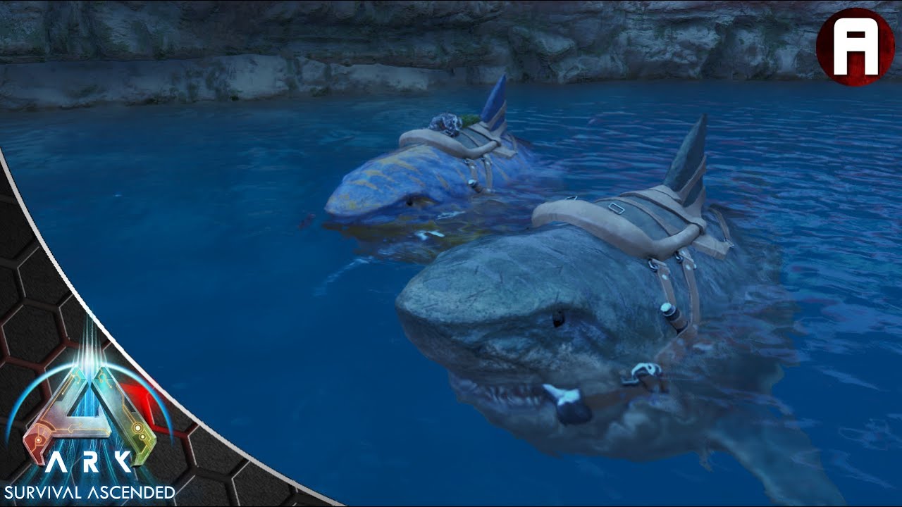 ARK Survival Ascended Day 2 - Easy Megalodon Taming - YouTube