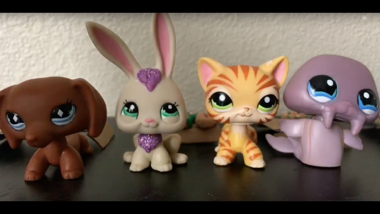 LPS: Chopped! (ROUND 1: Match 1) Inspired by LPSSugarStudios - YouTube
