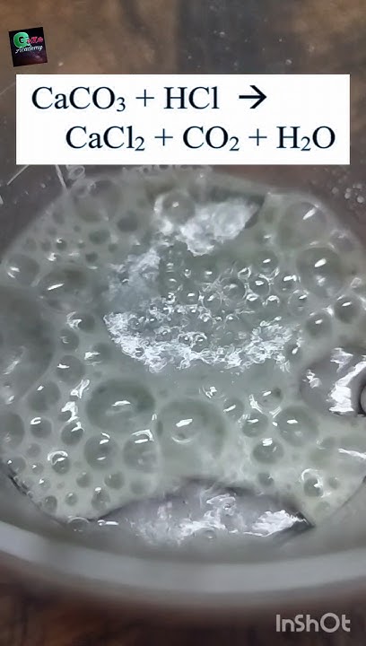 Crazy Chemistry Experiments: Calcium Carbonate React with Acid # ...