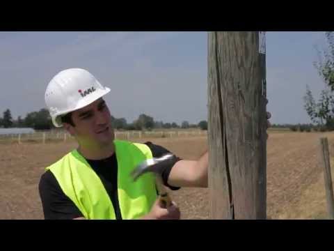 Holzmastenkontrolle mit der IML-RESI F-Serie