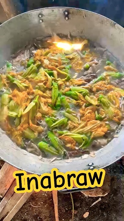 INABRAW TI ILOCANO - YouTube