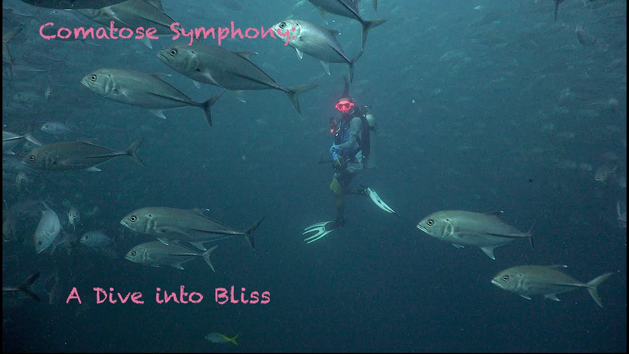 Comatose Symphony: A Dive into Bliss Underwater video - YouTube