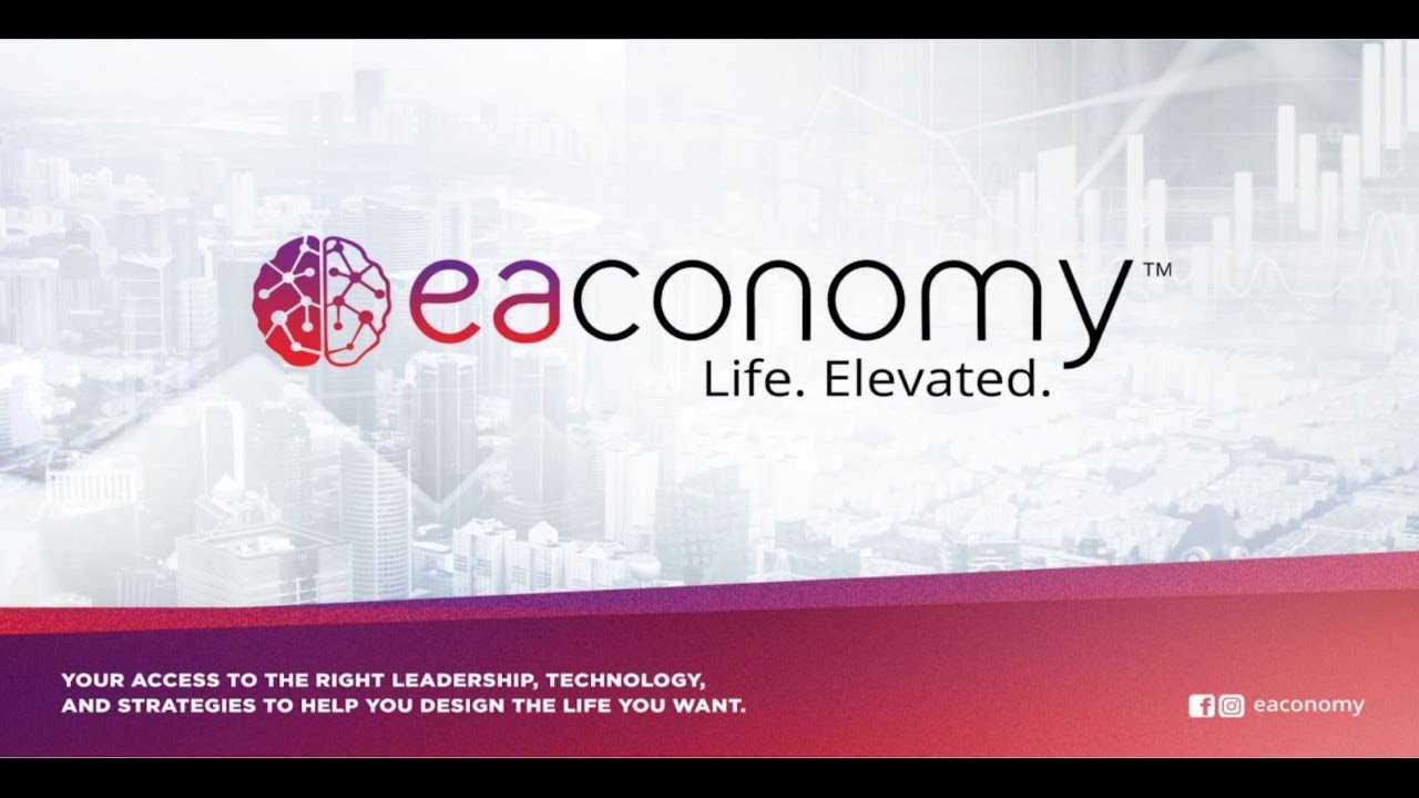 EACONOMY OVERVIEW - YouTube