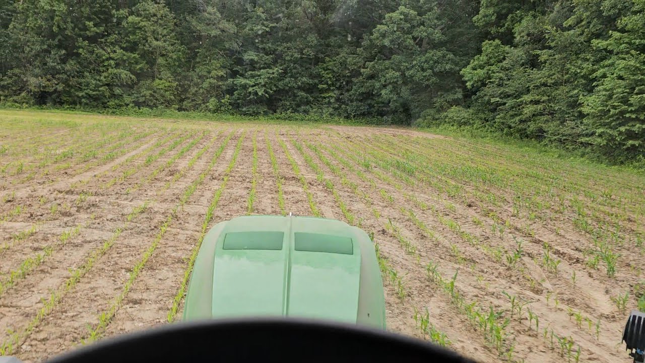 That's Some Ugly Corn - YouTube