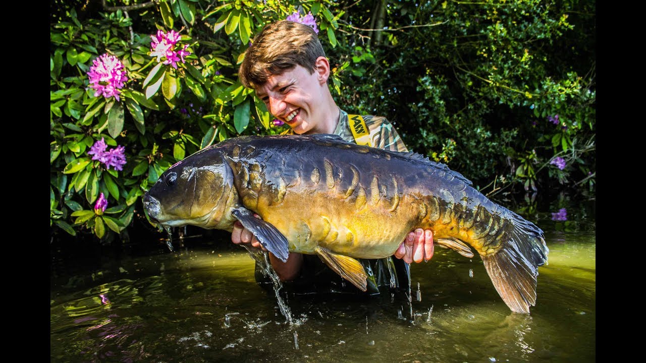 Carp Dreams - Stunning original carp, caught on the surface. - YouTube