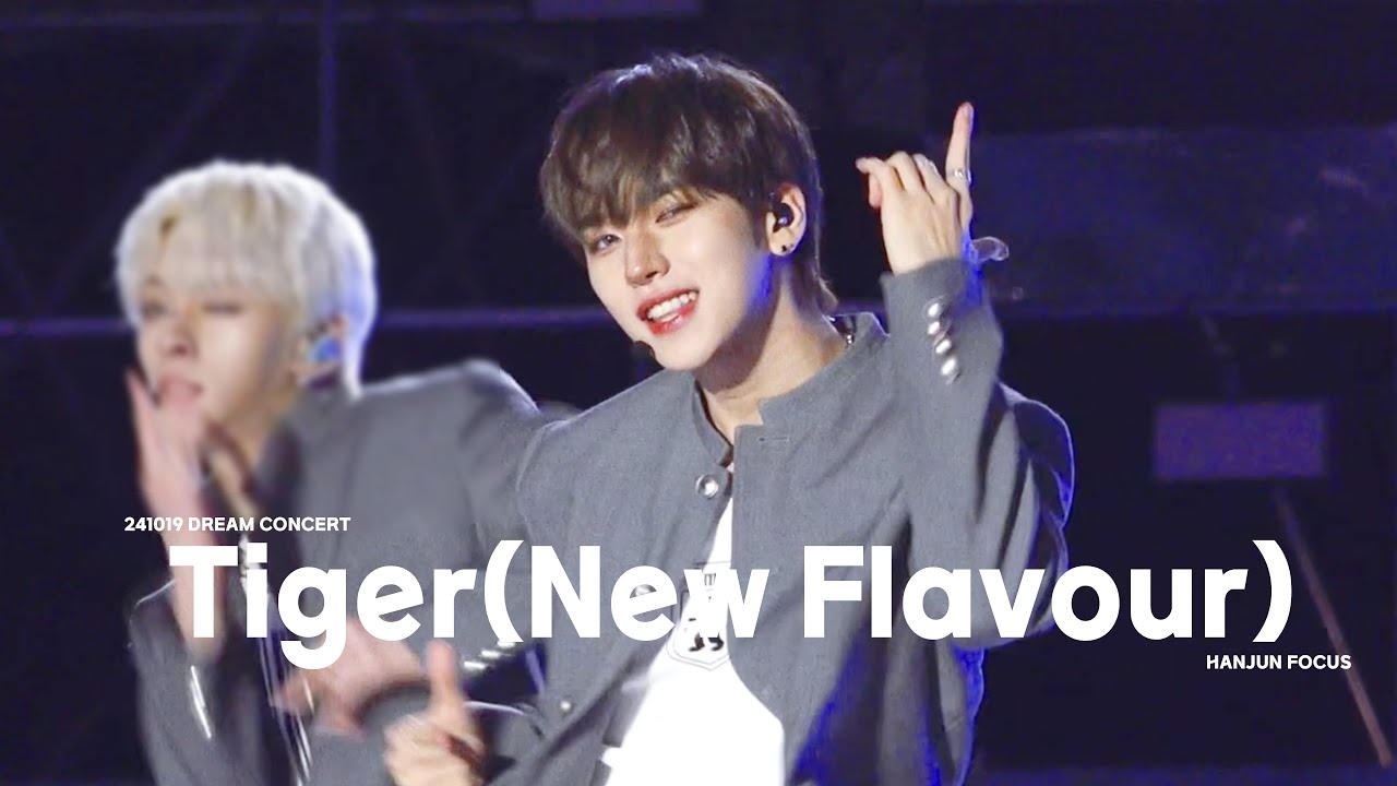 [4K] 241019 2024 Dream Concert 드림콘서트 'Tiger' 타이거 n.Ssign HANJUN 엔싸인 한준 ...