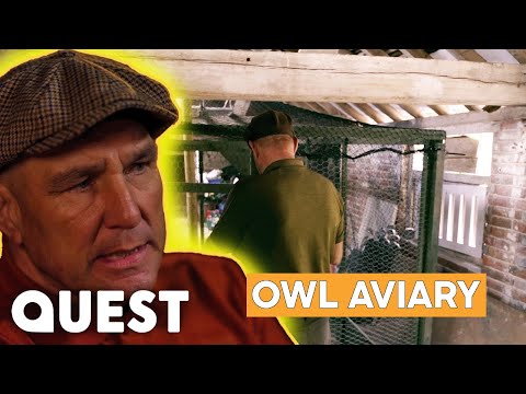 Vinnie Sets Up An Owl Aviary | Vinnie Jones In The Country