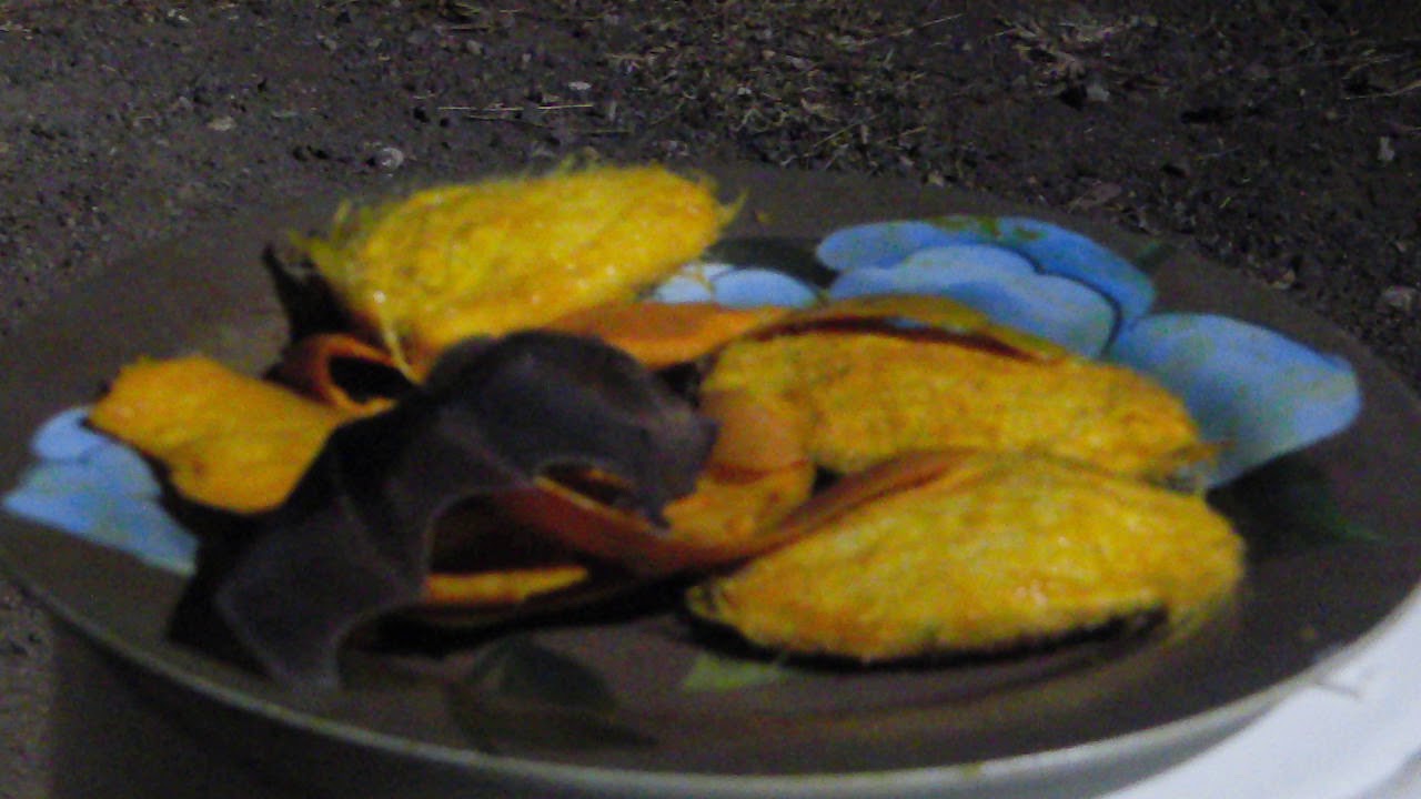 bat eating mango - YouTube