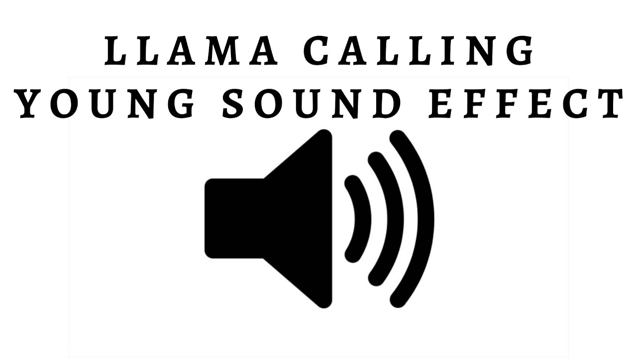 Llama Calling Young Sound Effect - YouTube