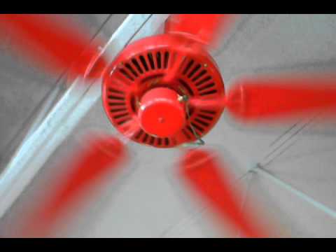Red Quorum Capri fans - YouTube