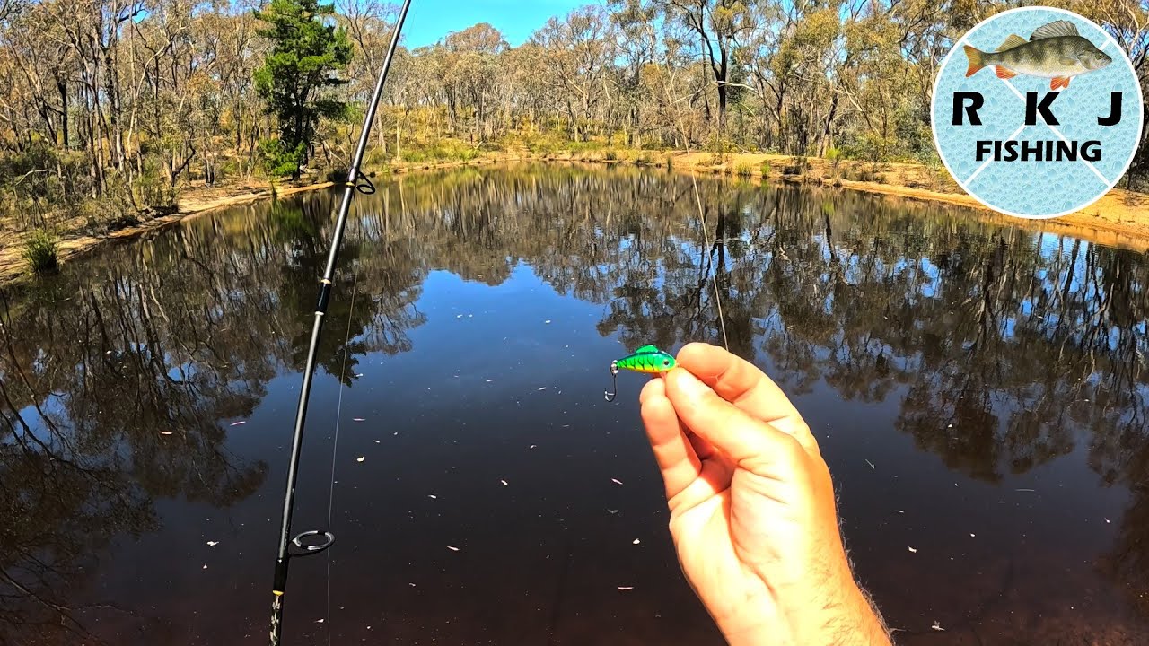 Redfin Fishing In A Small Dam - YouTube