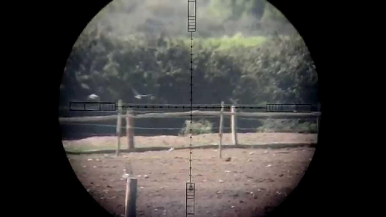 Edgun R3 Long .22 a 220m - YouTube