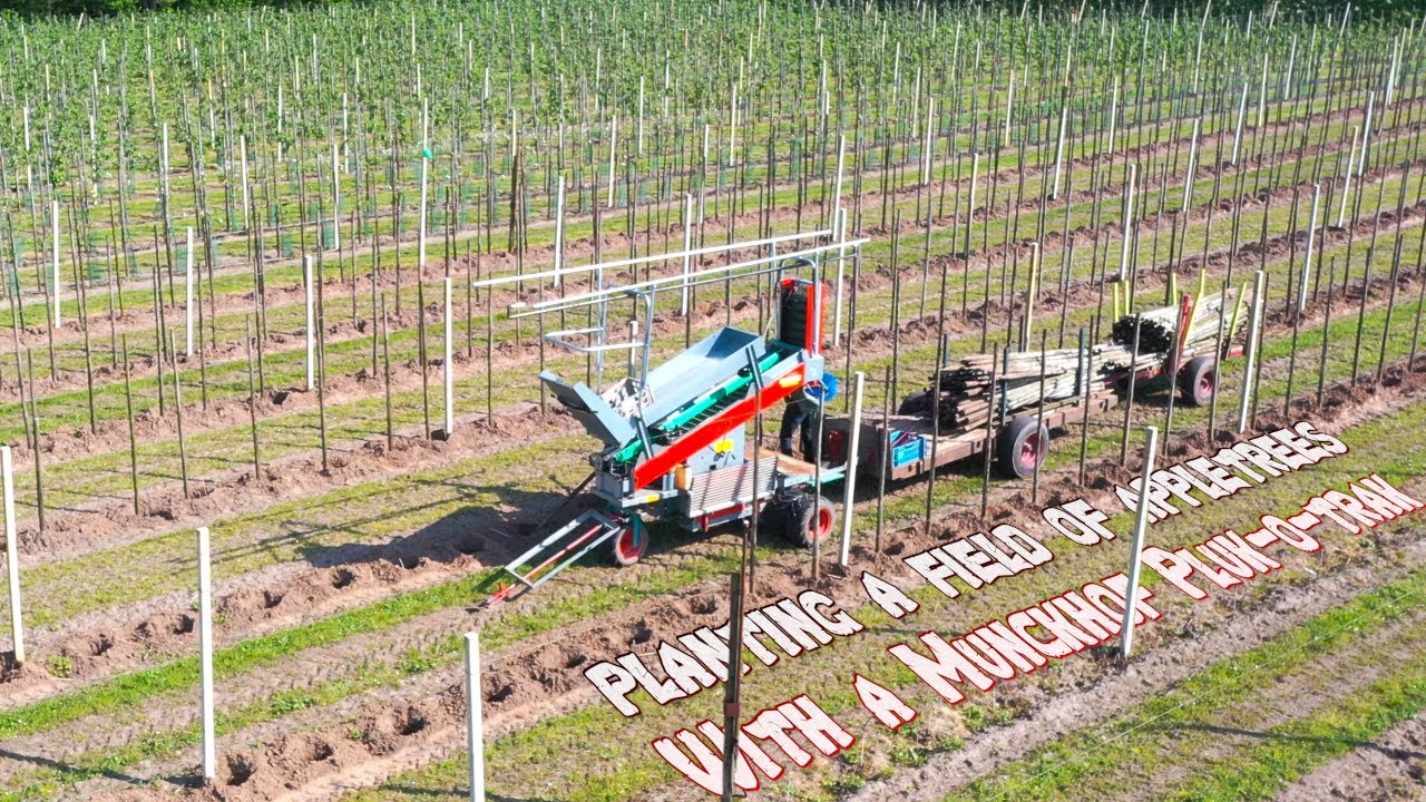Planting a field of appletrees | putting poles in | spreading compost ...