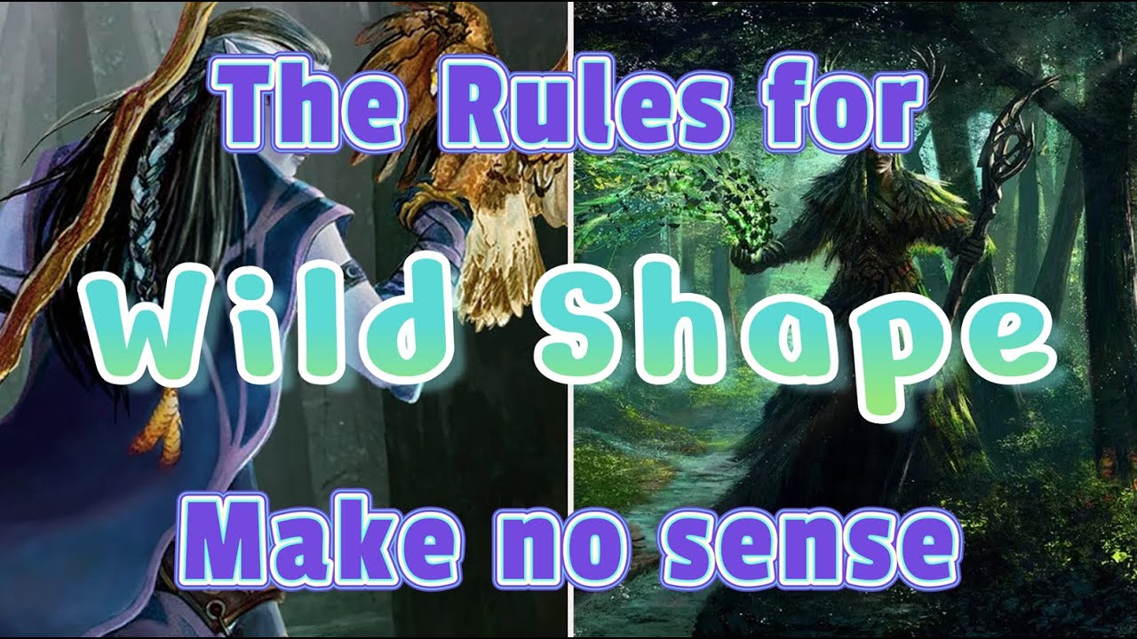 You don't know how Wild Shape works in D&D 5e (and neither do I) - YouTube
