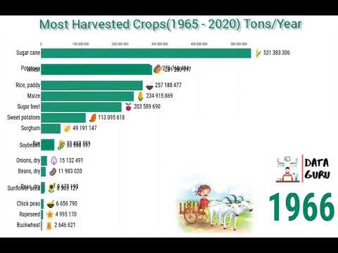 World's Most Harvested Crops || 1965 to 2020 || Data Visualization ...