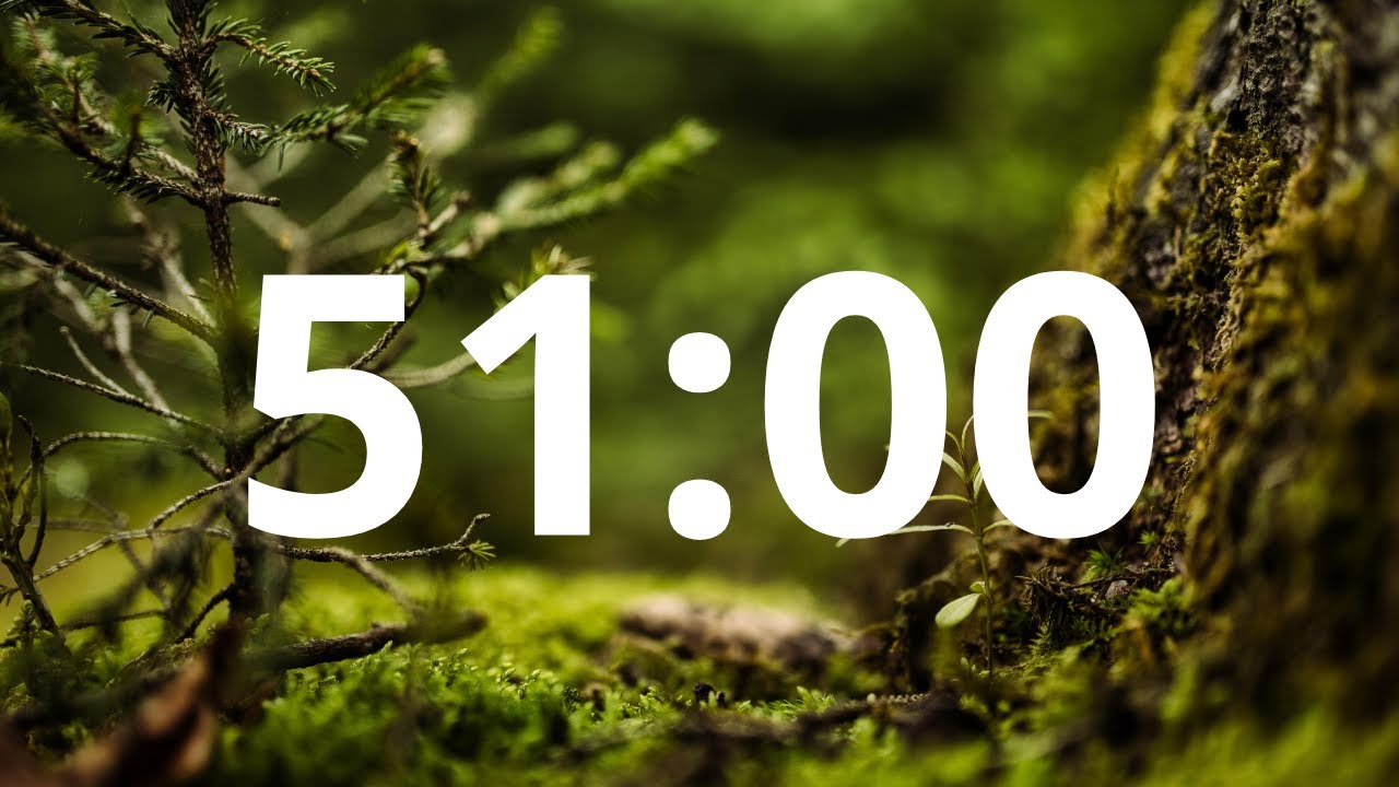 51 Minute Countdown Timer With Alarm (Simple Beep) - YouTube