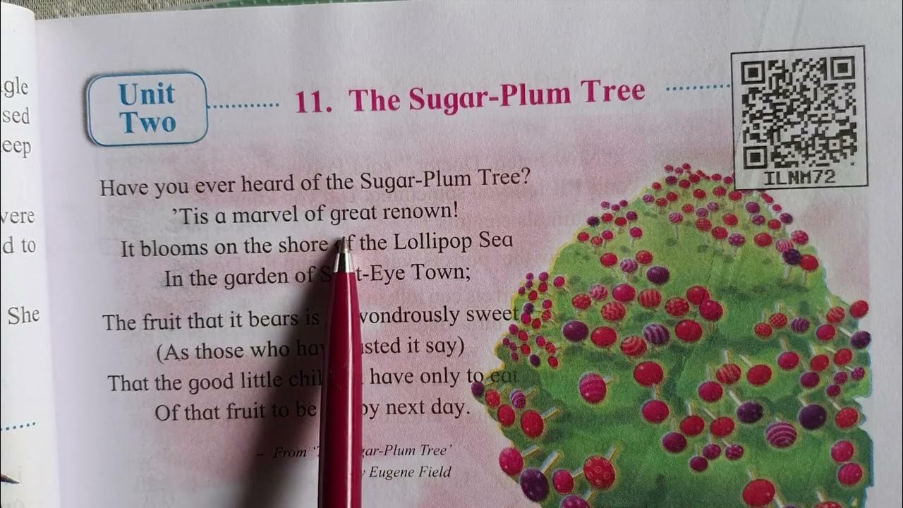 3rd std English Poem "The Sugar- Plum Tree" - YouTube