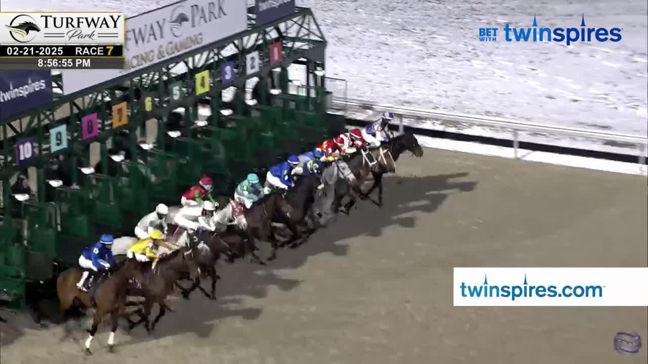 2025 Cincinnati Trophy Stakes Full Race Replay - White Rocks - February ...