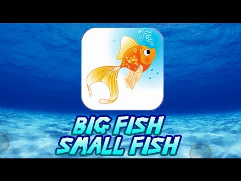 How to Play Big Fish Small Fish - YouTube