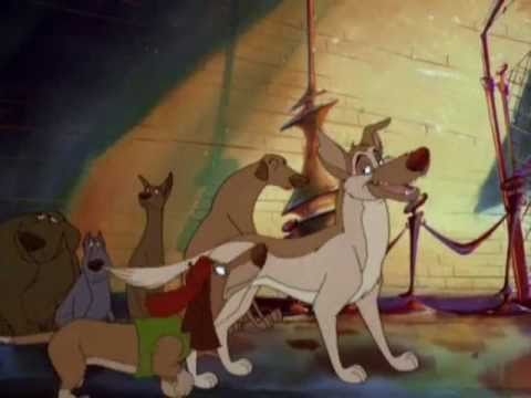 Charlie Barkin - Paralyzer - YouTube