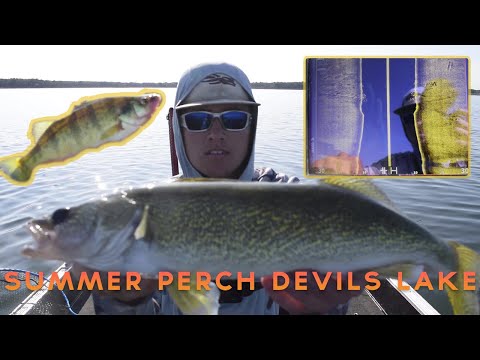 SUMMER PERCH DEVILS LAKE, ND - YouTube