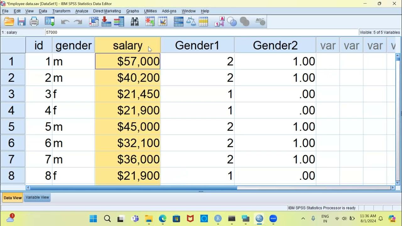 Transform Your Data: Step-by-Step Variable Recoding in SPSS - YouTube