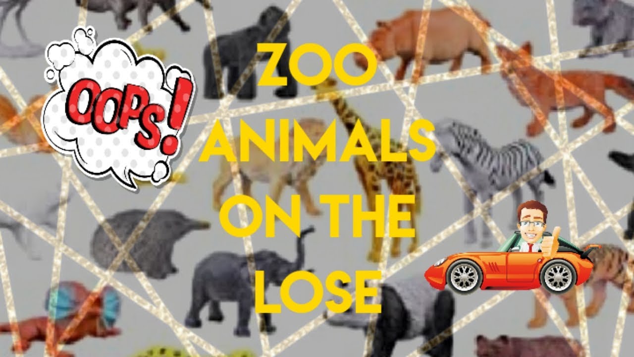 Zoo Animals get loose. Zoo. Play Time. 10 Wild Animals That ESCAPED ...