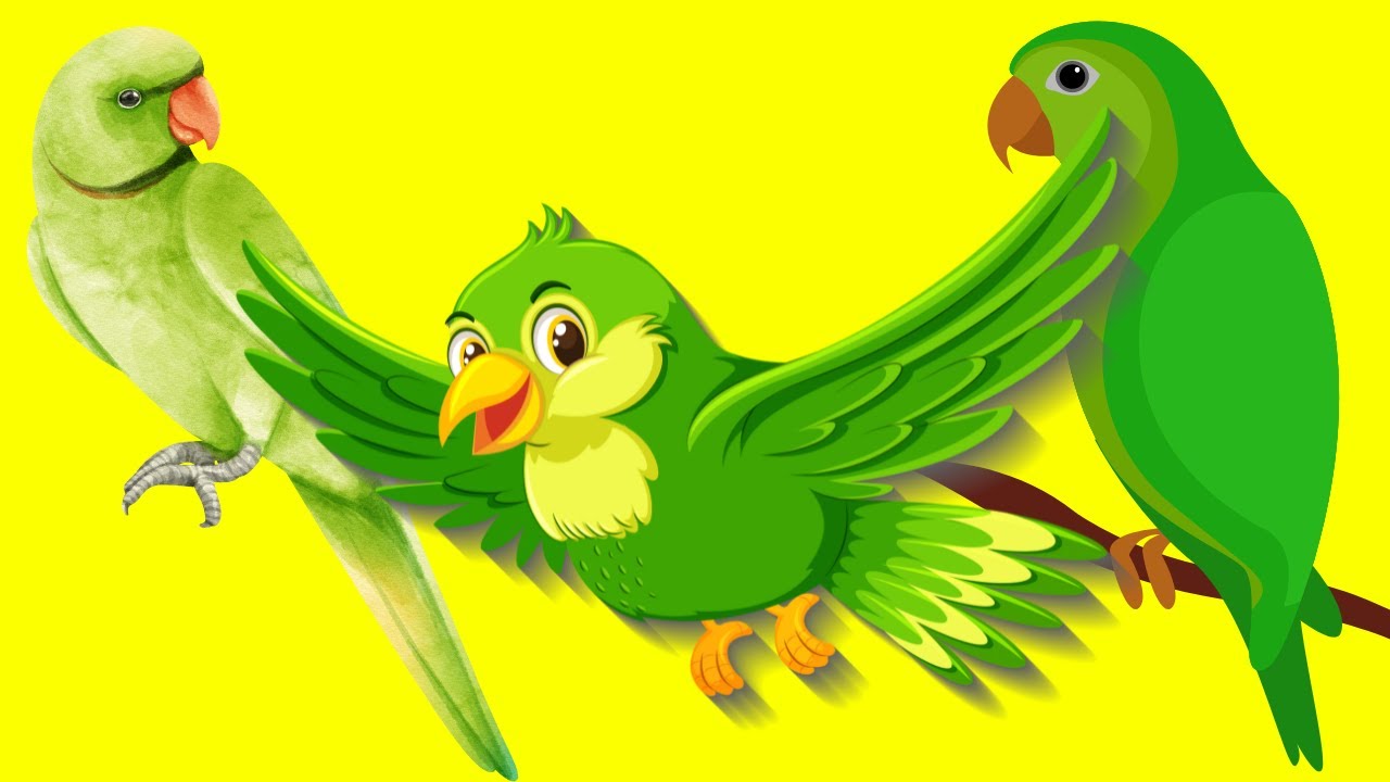 Beautiful Green Birds | Kurullo Nursery Song | #Kurullo #කුරුල්ලෝ | The ...