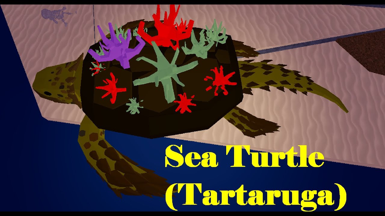 How to Get TARTARUGA SEA TURTLE in Fisch! (Second Sea Update) Roblox ...