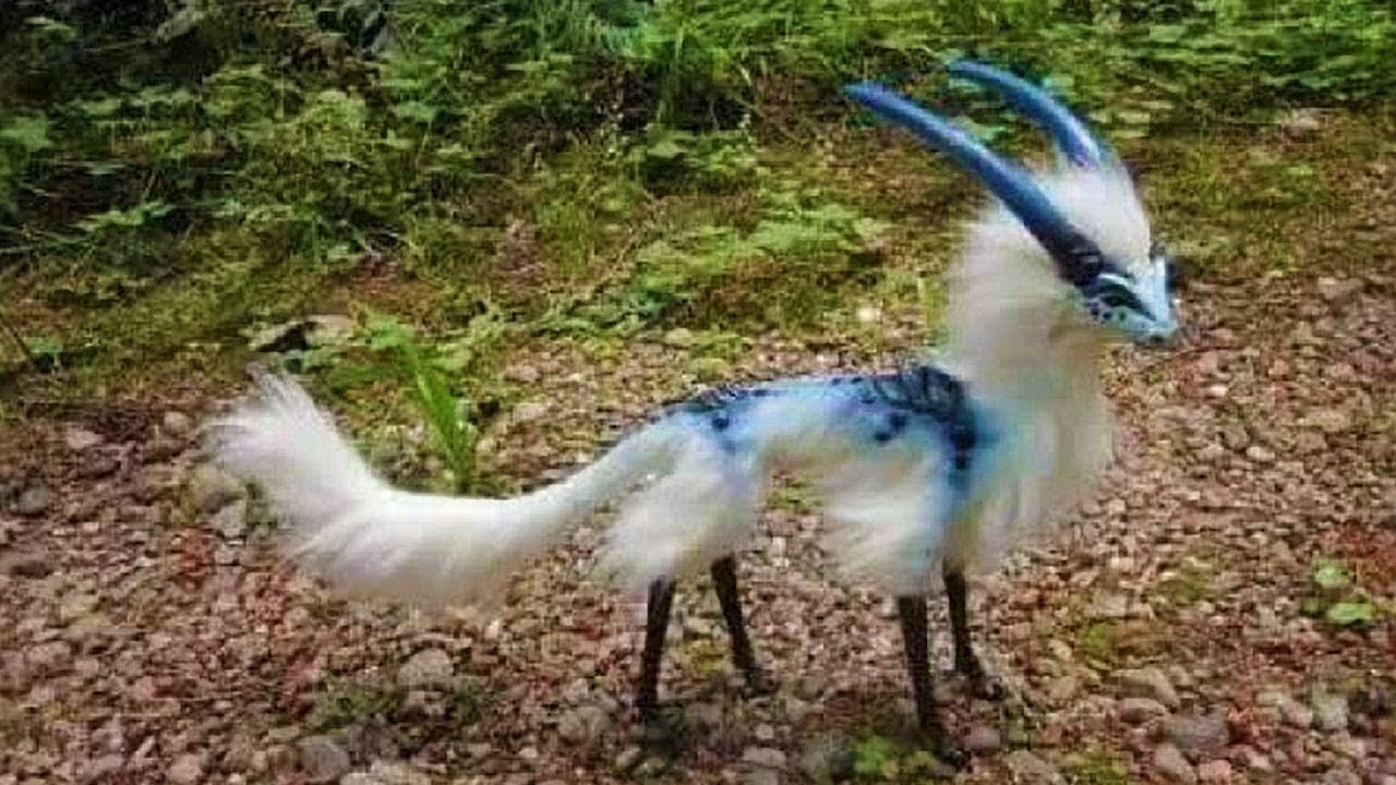 10 The Most Scariest Land Animals You Won’t Believe Exist In Real World ...