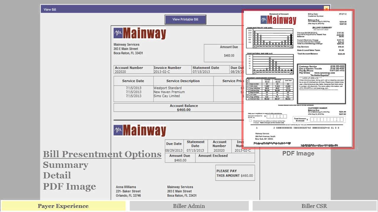 Transactis BillerIQ Demonstration - YouTube