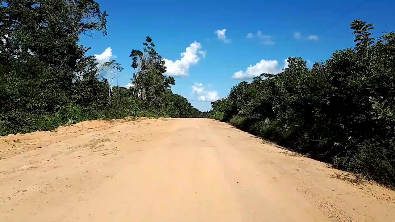 Tapauá Amazonas Estrada - YouTube
