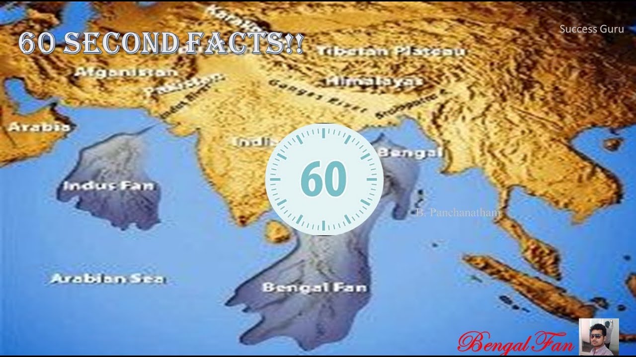 60 Seconds facts - Fact Number 18 - Bengal fan - YouTube