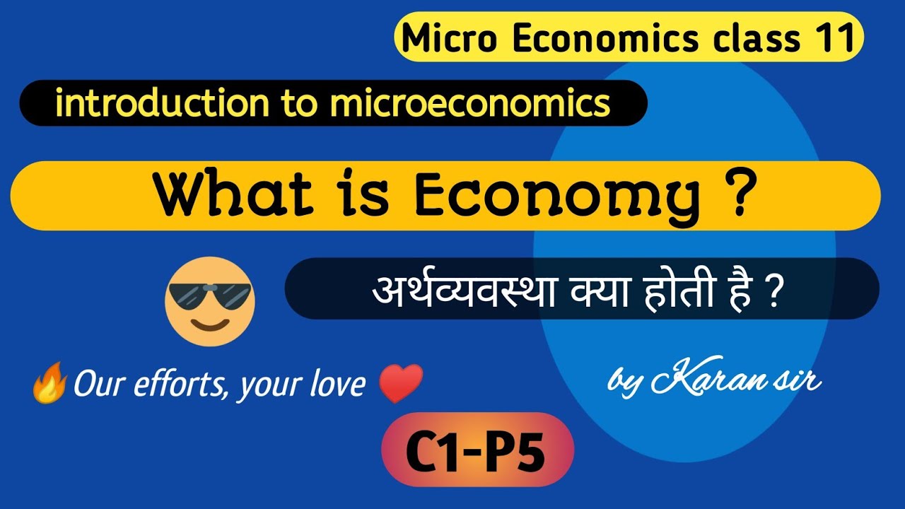 What is Economy | Class 11 | Economics - YouTube