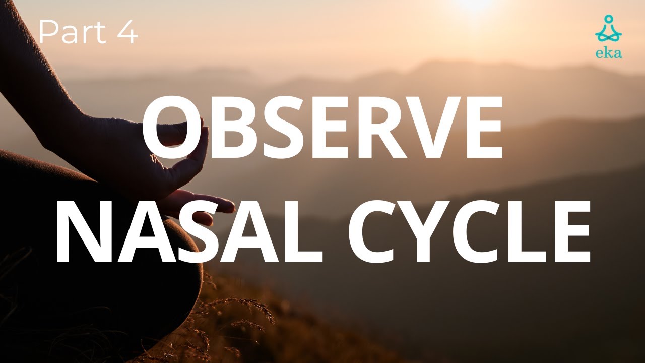 Part 4 - Observe Nasal Cycle | Breath Familiarisation - YouTube
