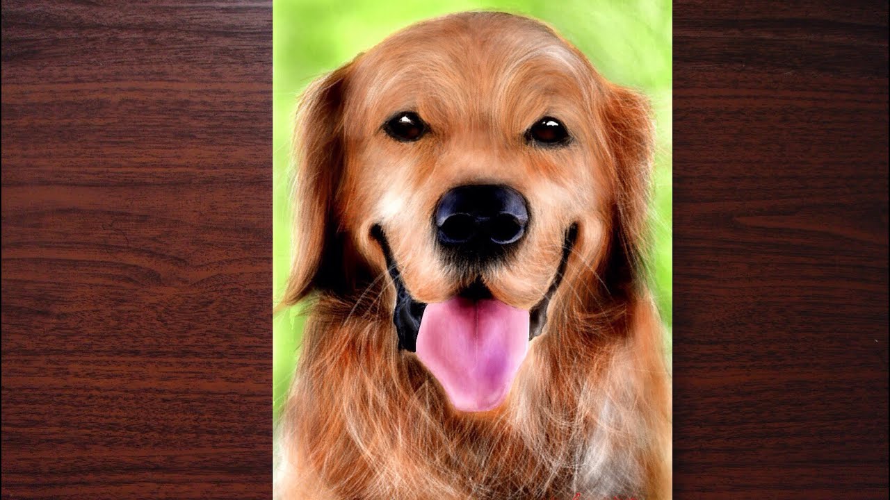 Drawing of a Realistic Dog on ipad with: Paper by 53 - YouTube
