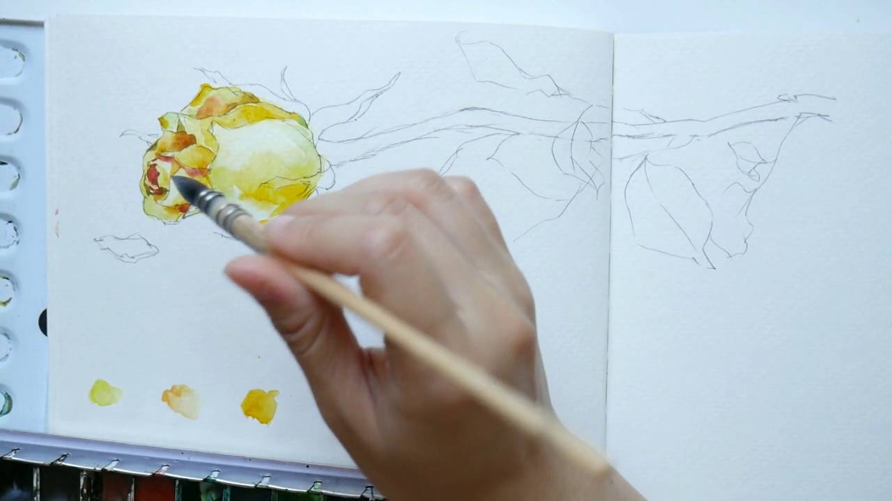 Part 2: How to draw and paint a rose - YouTube