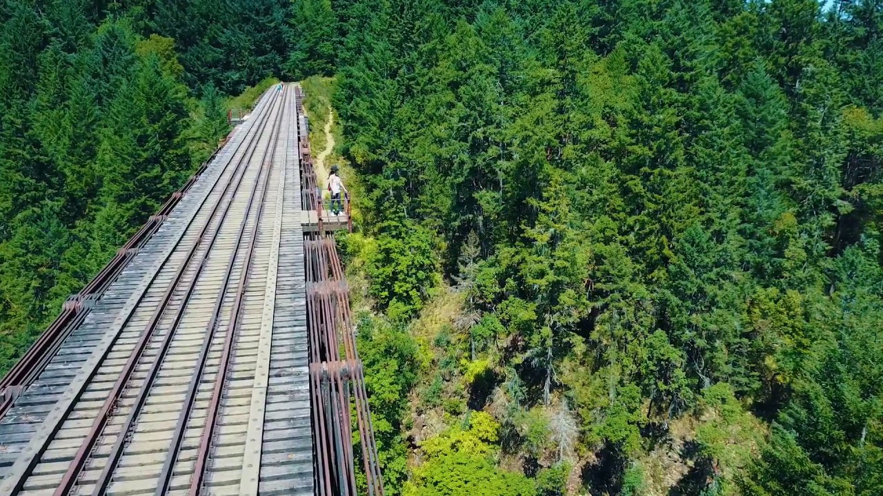 Goldstream - YouTube