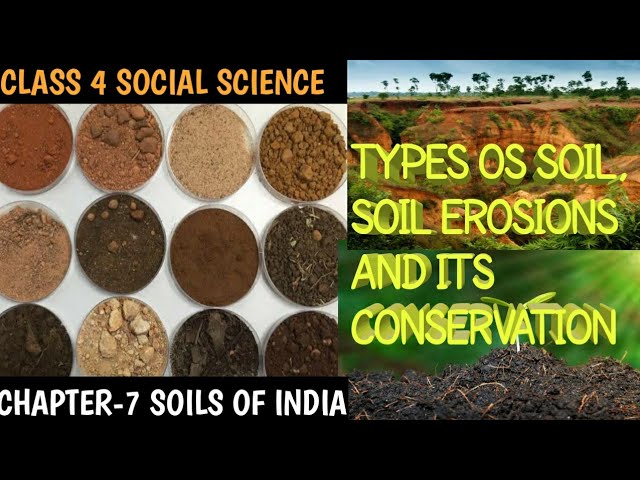 Soils And Soil Conservation New Report Available On Soils And Gender