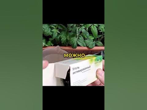 Активированный уголь для рассады! - YouTube