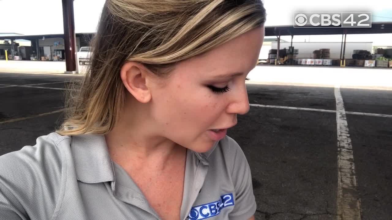 WEATHER WEDNESDAY with Storm Team Meteorologist Sarah Cantey - YouTube