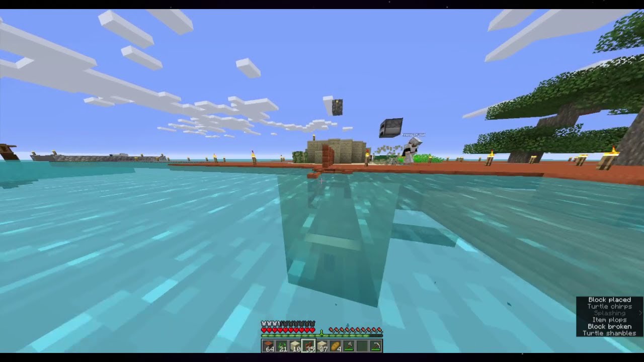 Agape Creation Network Acid Islands Part 02 Can We Save The Turtles ...