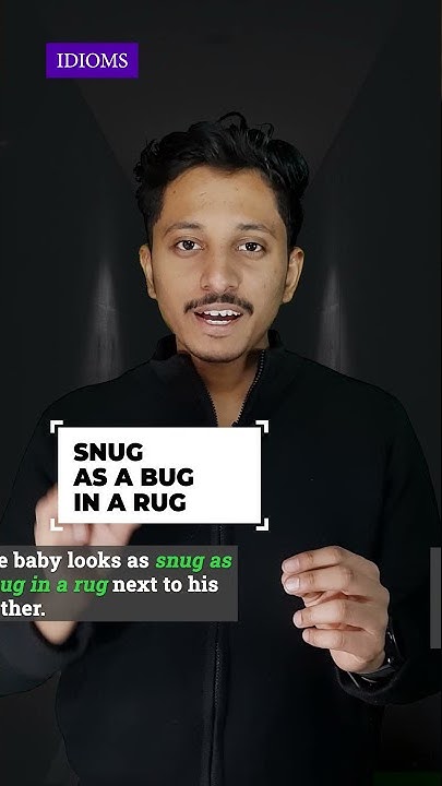 English Idioms #45 - Snug As A Bug In A Rug | Idioms And Phrases For ...